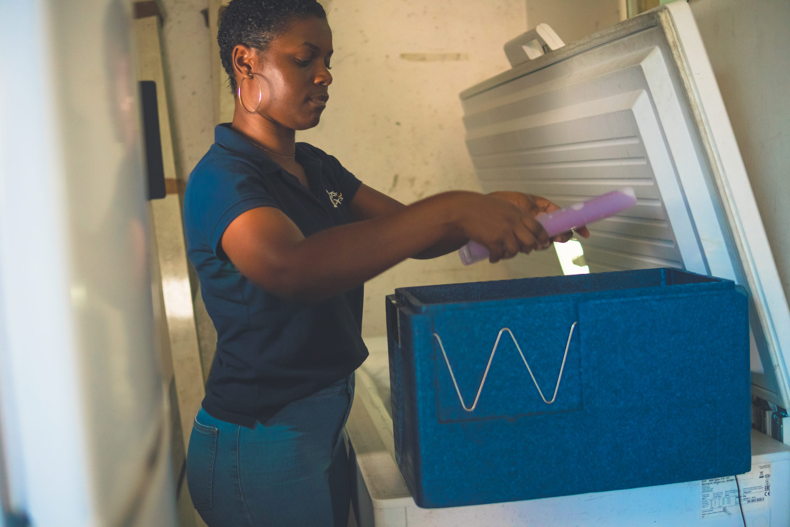 Livraison sécurisée- Trans Lab Express Martinique&Guadeloupe